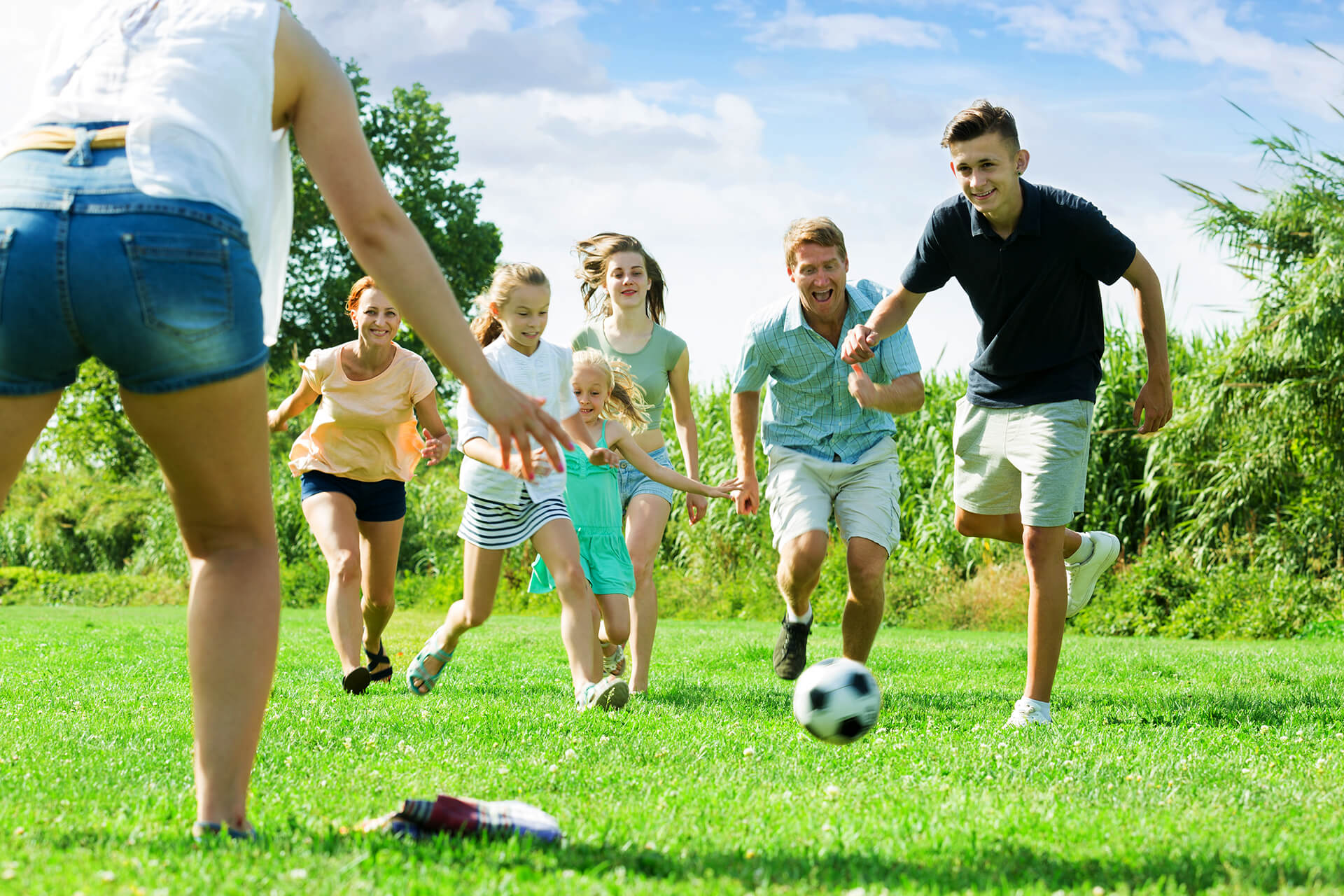 ScienTurfic Sod Provides Green - ScienTurfic Sod - Sod Resources ...