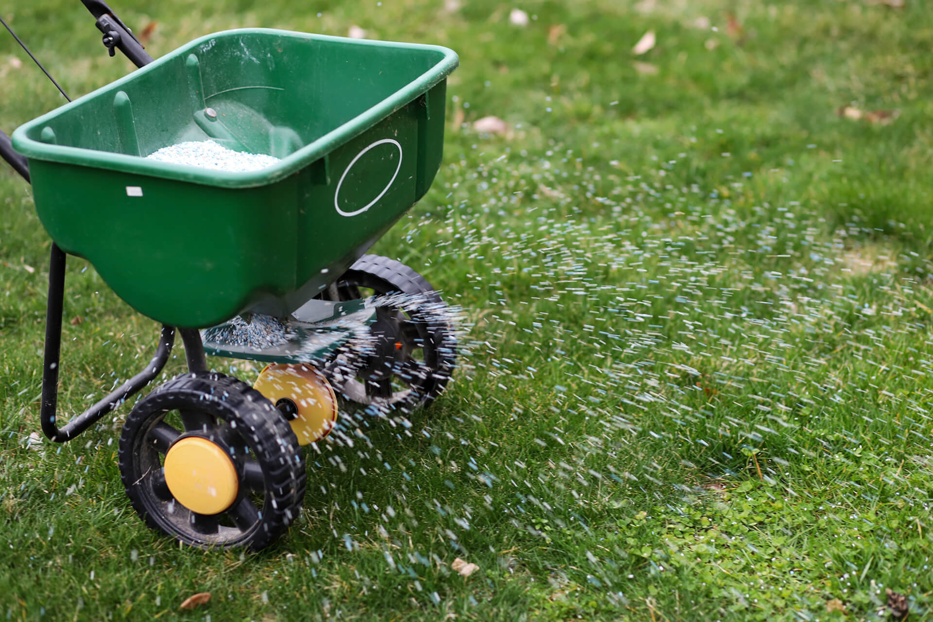 Fertilizing Four Times a Year - Fertilizing - Sod Resources ... Fertilizing Four Times a Year - Fertilizing - Sod Resources ...