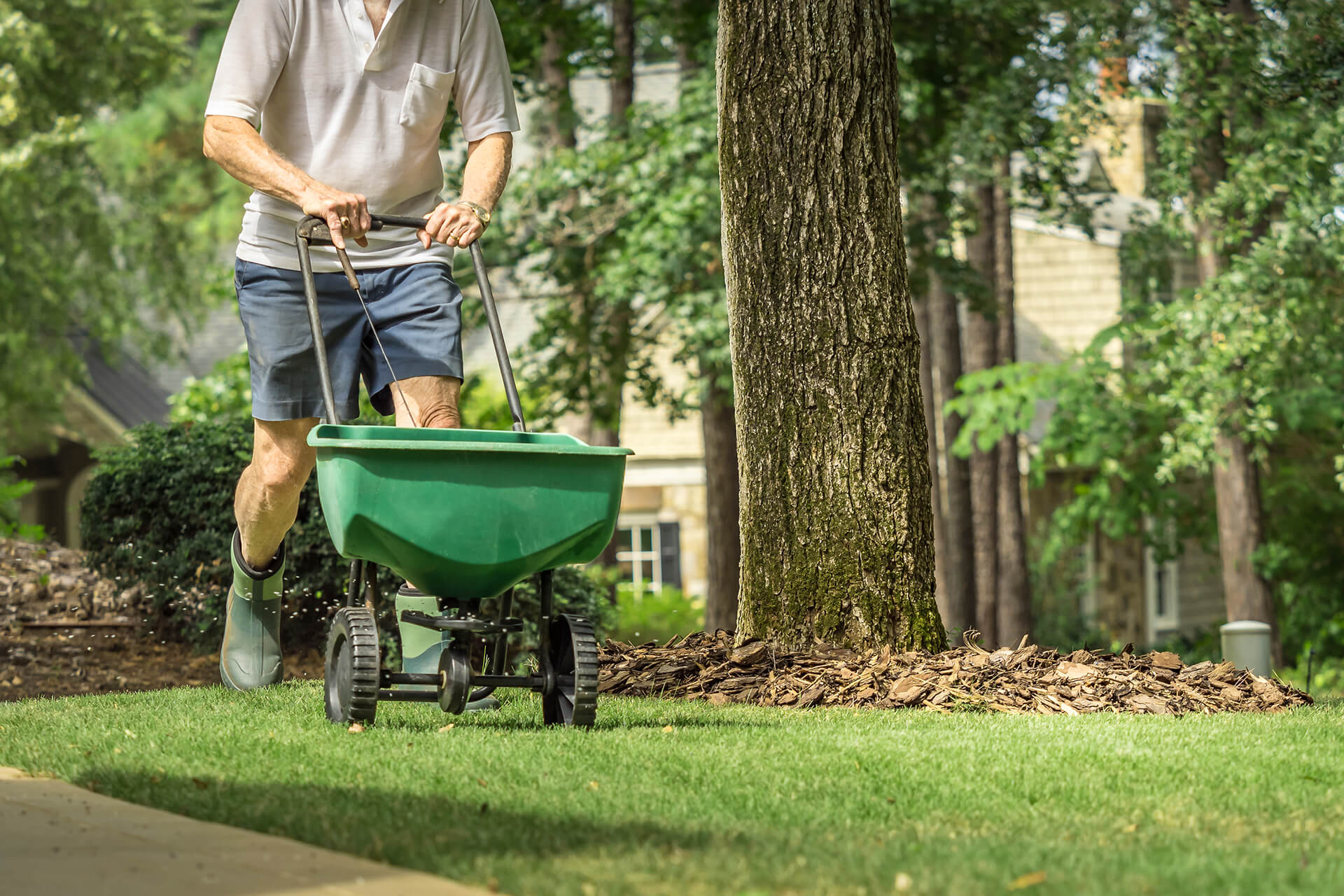 Fertilizing Your Lawn - Fertilizing - Sod Resources | ScienTurfic Sod Fertilizing Your Lawn - Fertilizing - Sod Resources | ScienTurfic Sod