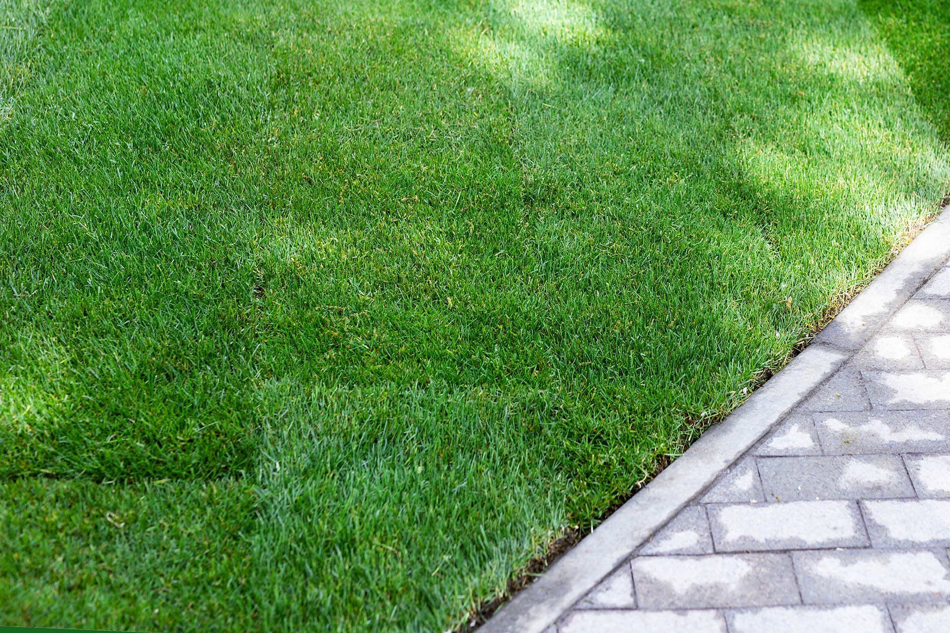 Lawn Care Tips - New Lawn - Sod Resources | ScienTurfic Sod Lawn Care Tips - New Lawn - Sod Resources | ScienTurfic Sod