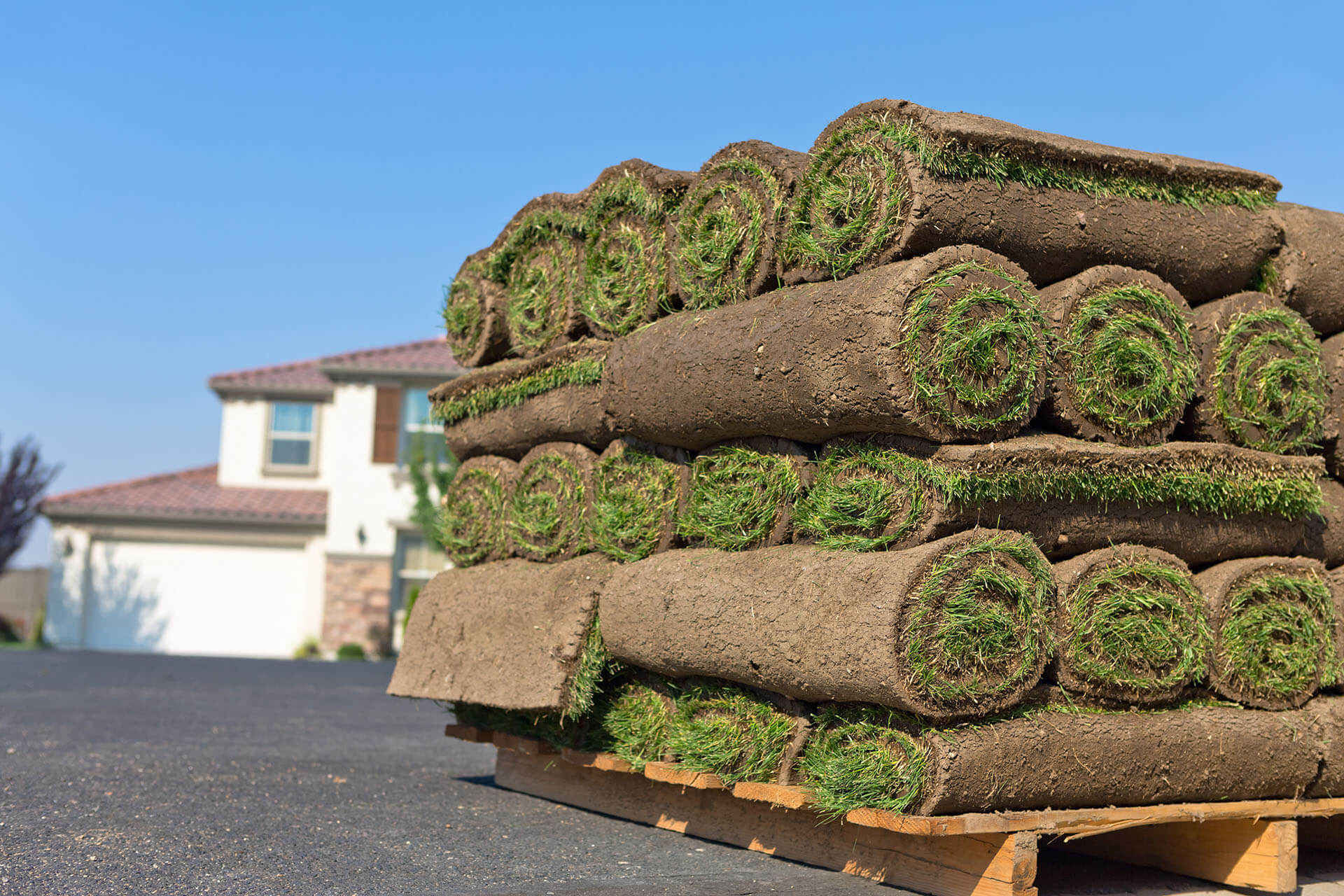 Services - Sod Pickup, Delivery, and Installation for Your New Lawn ...