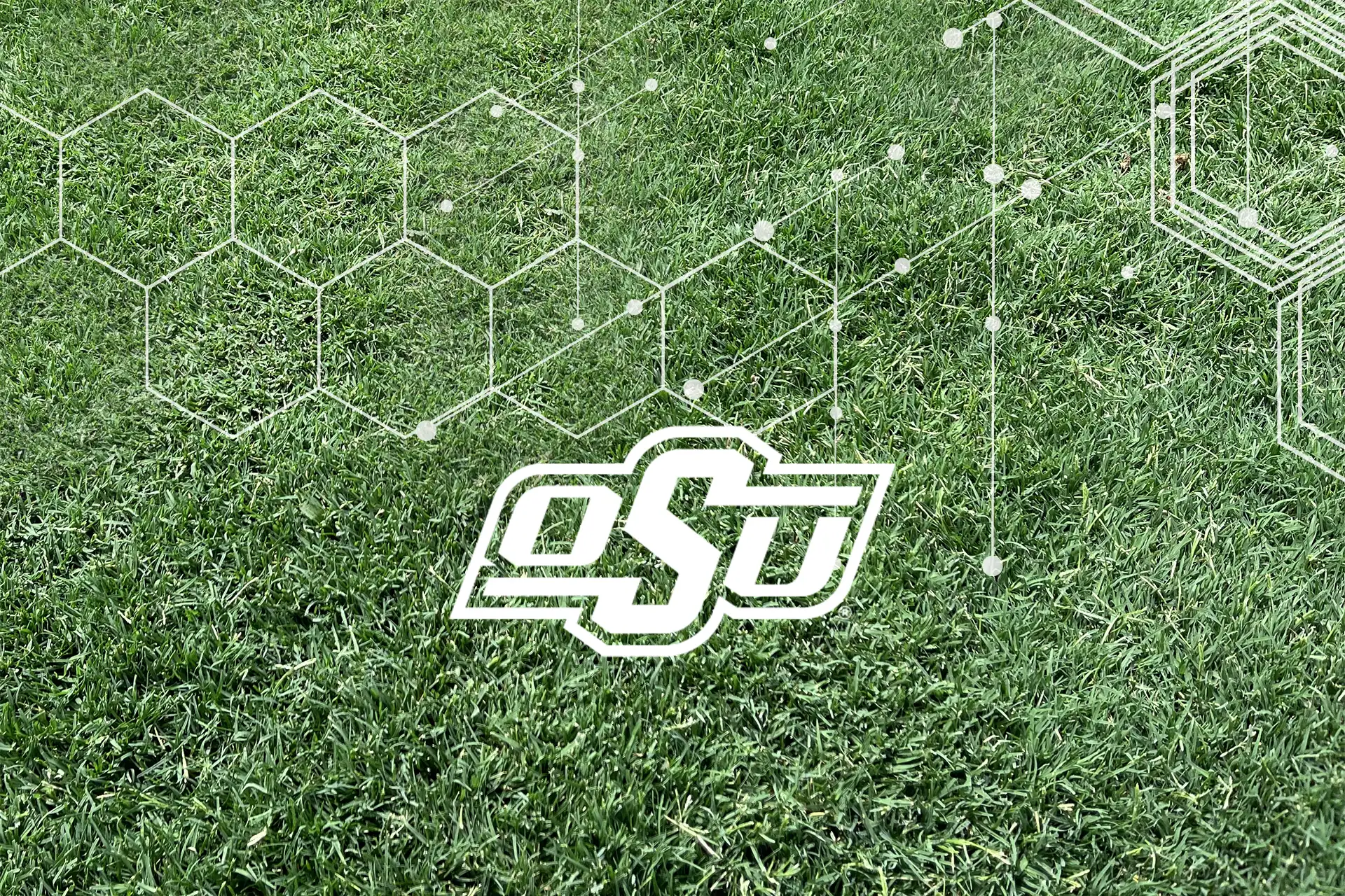 Research - Tahoma 31 Bermuda Grass - Water Saving & Cold Tolerant ...